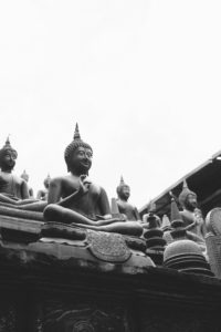 Travel: Colombo, Sri Lanka – My Darling Lemon Thyme
