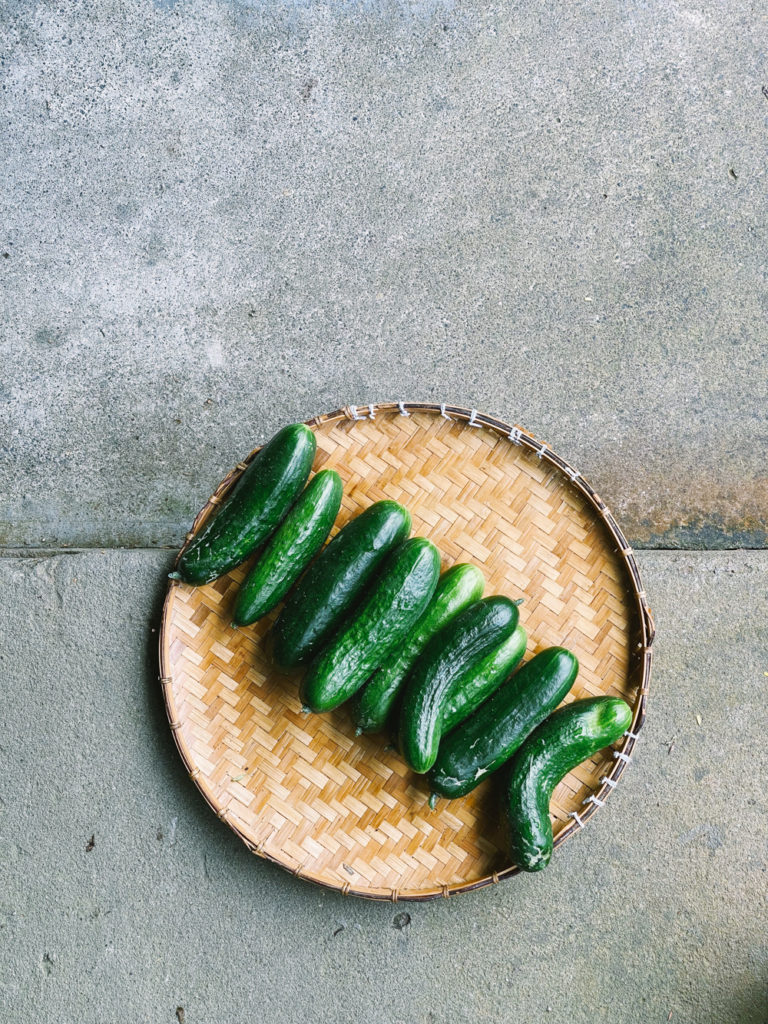 Cucumber, mint + lime ice blocks – My Darling Lemon Thyme
